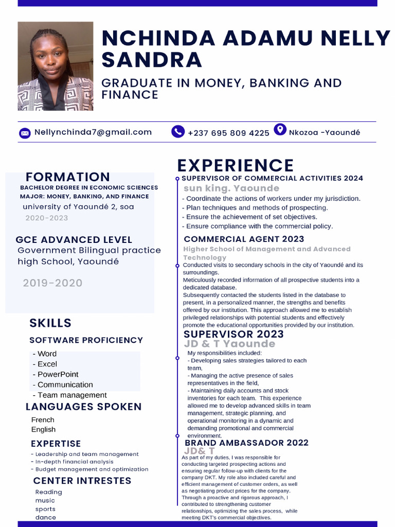 CV Professionnel Comptable Minimaliste Bleu PDF | PDF