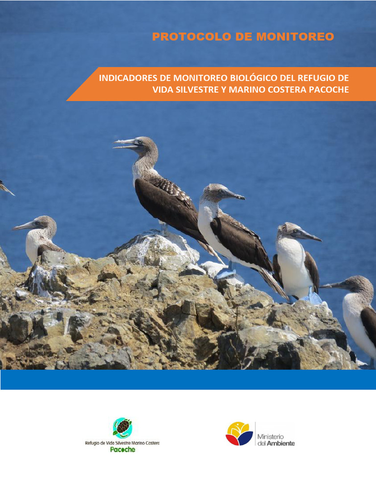 Monitoreo de Aves Costeñas en Pacoche | PDF | Habitat | Ave marina