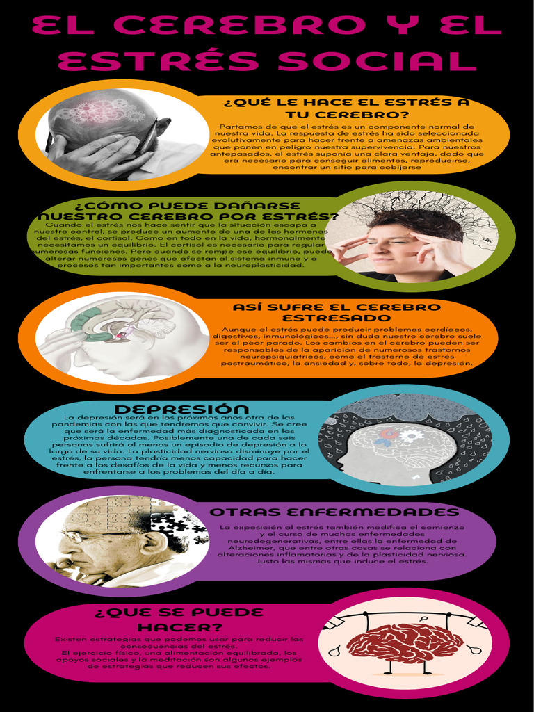Efectos del Estrés en el Cerebro | PDF | Estrés (biología) | Depresión ...