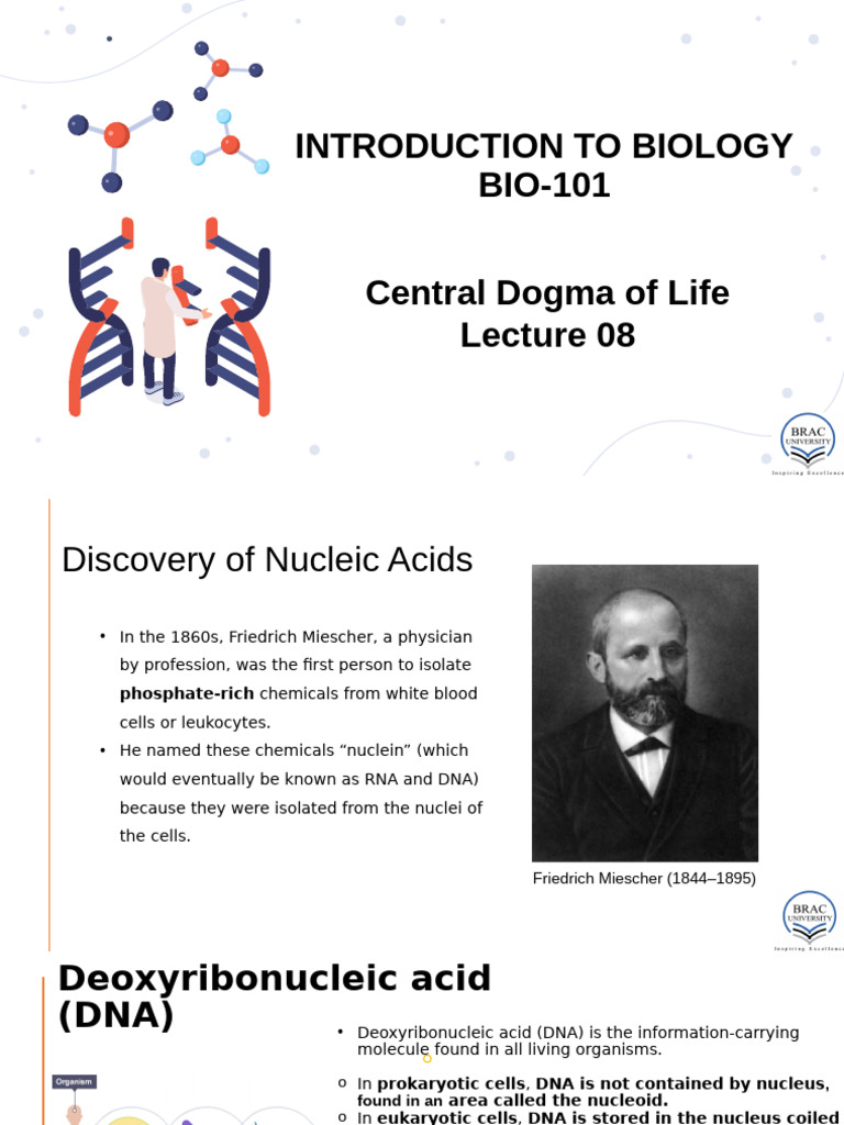 L8.1 BIO 101 DNA Replication | PDF | Dna Replication | Dna