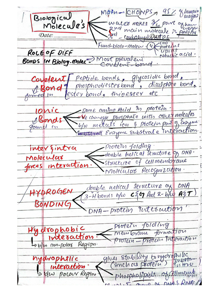 Biological Molecules | PDF