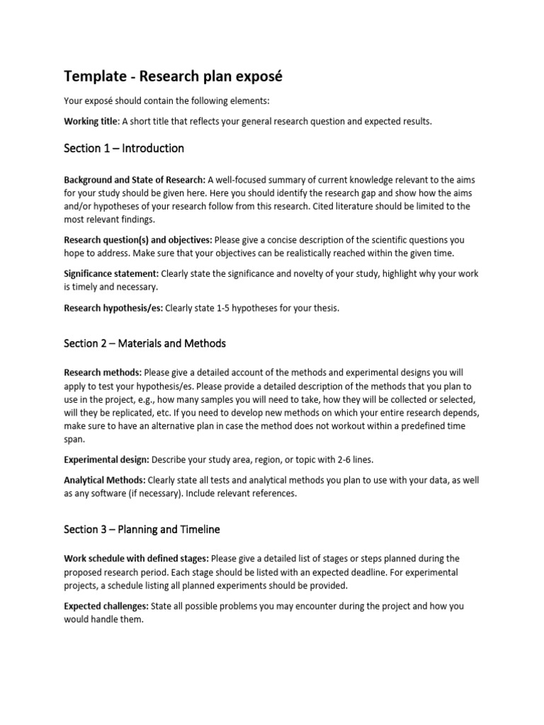 Research Plan Exposé Template | PDF