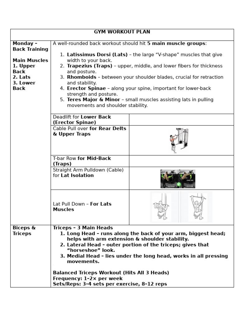 Comprehensive Back and Arm Workout Plan | PDF | Musculoskeletal System ...