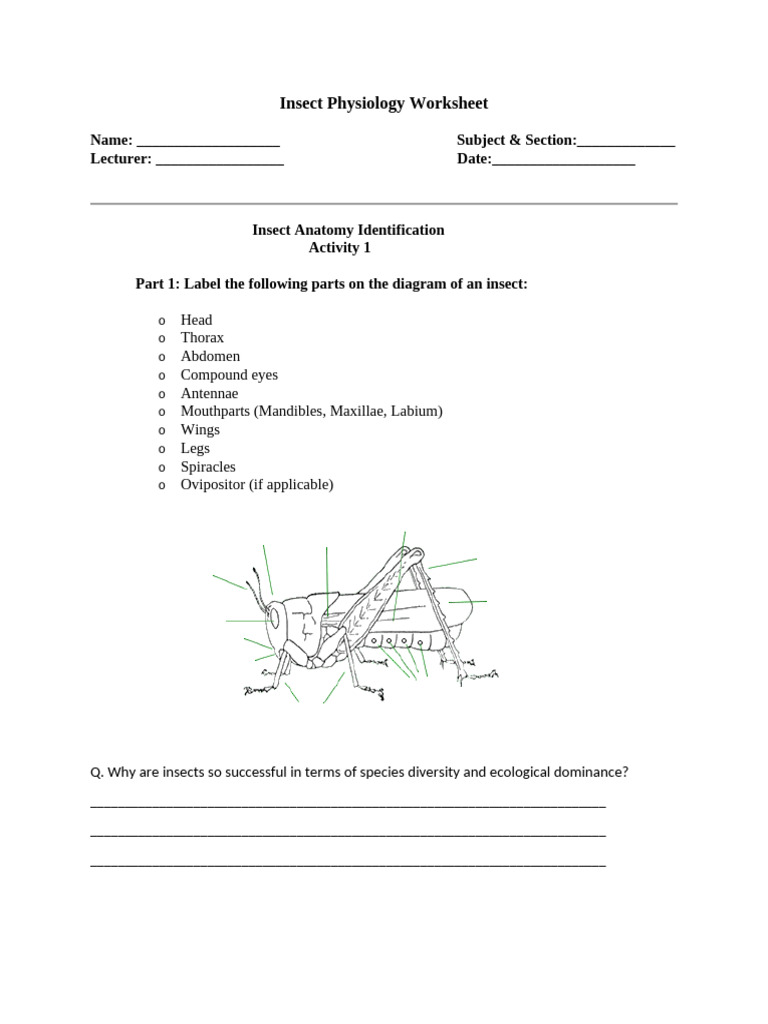 Insect Physiology Worksheet 1 | PDF
