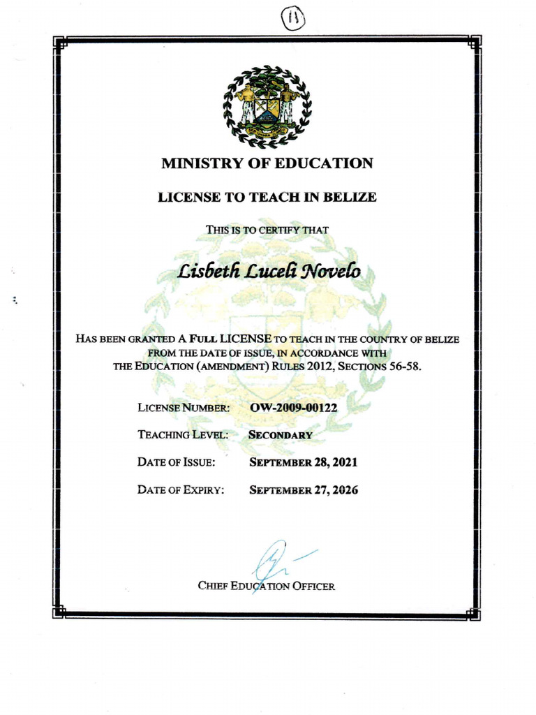 Teaching Licence | PDF