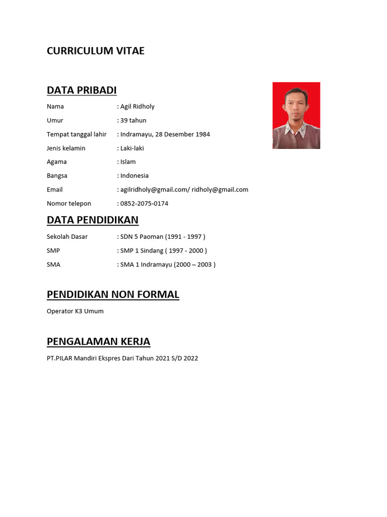 Curriculum Vitae 2 | PDF