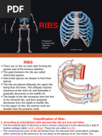 Costal Arch | PDF | Thorax | Thorax (Human Anatomy)