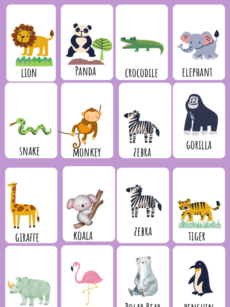 Colorful Illustrated Zoo Animals Kindergarten Flashcards - 20250911 ...