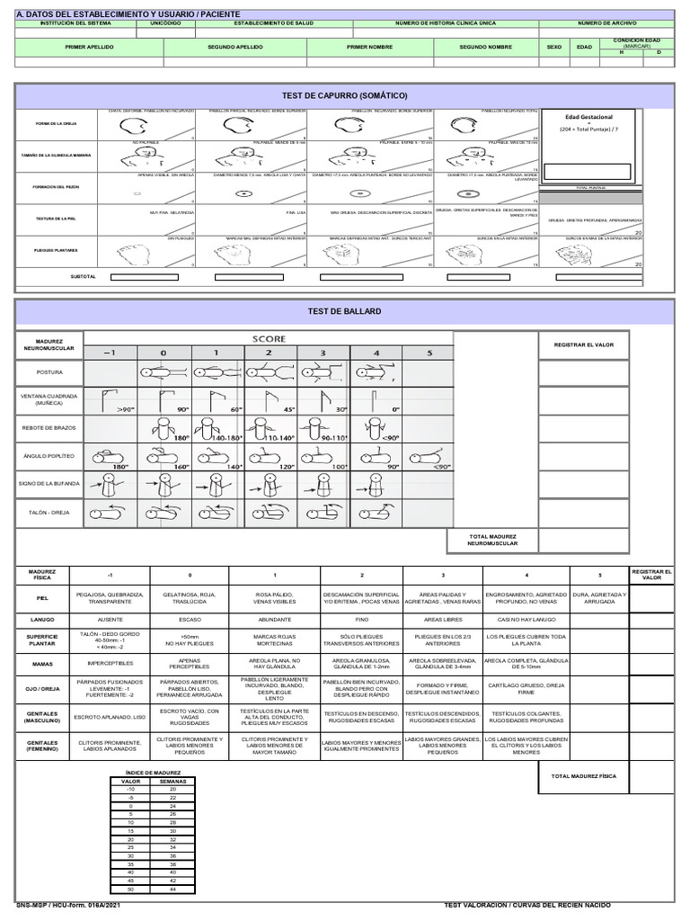 Test Capurro | PDF