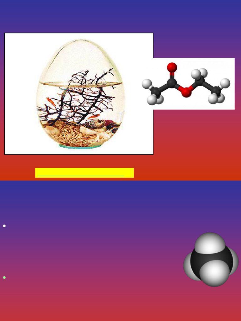 Introduction To Organic Molecules | PDF