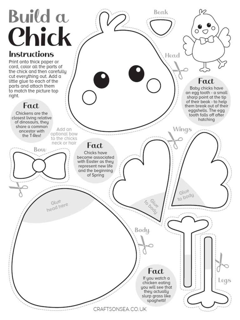 Build Your Own Chick Craft Guide | PDF | Chicken | Zoology