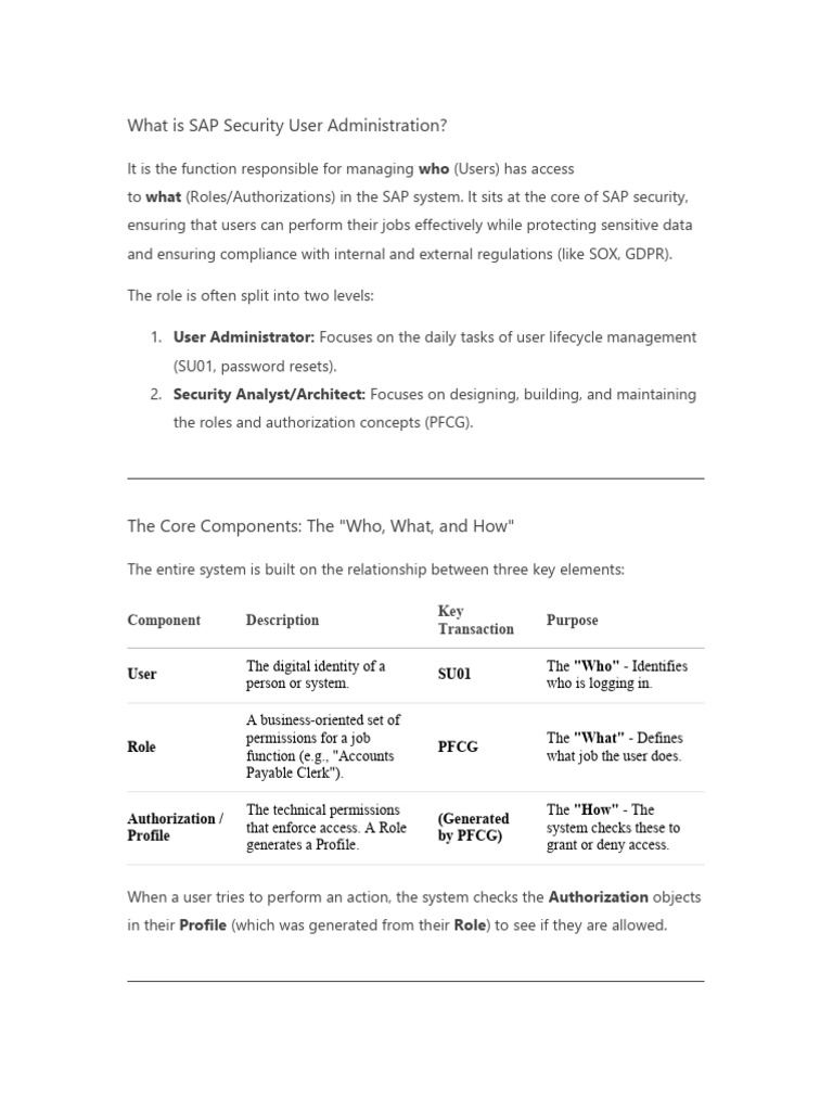 01.what Is SAP Security User Administration | PDF | User (Computing) | Security Engineering