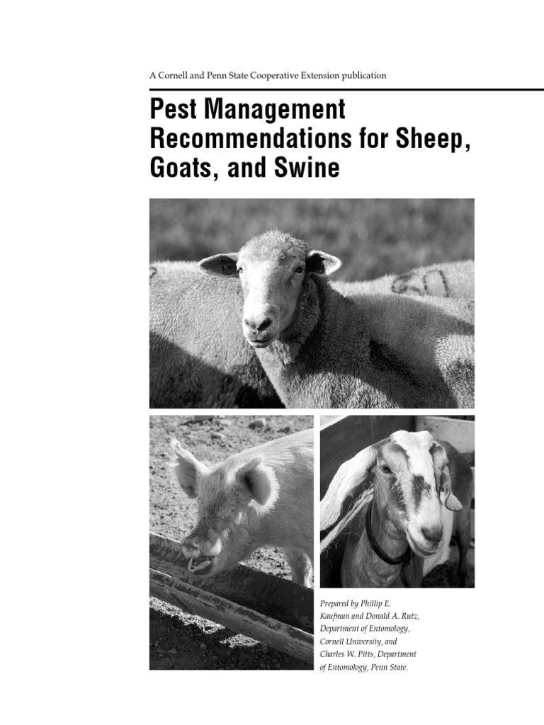Pest Management Sheep Goat Swine Cornell PennSt 2000 | PDF | Sheep