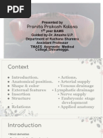 Apical Lordotic Chest X-Ray Positioning | PDF | Thorax (Human Anatomy ...