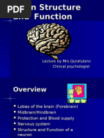 Brain Parts & Mnemonics Guide | PDF | Cerebral Hemisphere | Cerebral Cortex