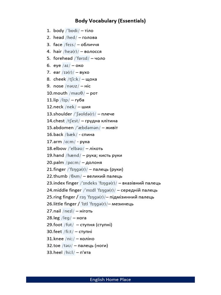 Body Vocabulary (Essentials) | PDF