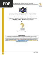 The 12 Page ORSA | PDF | Risk | Risk Management