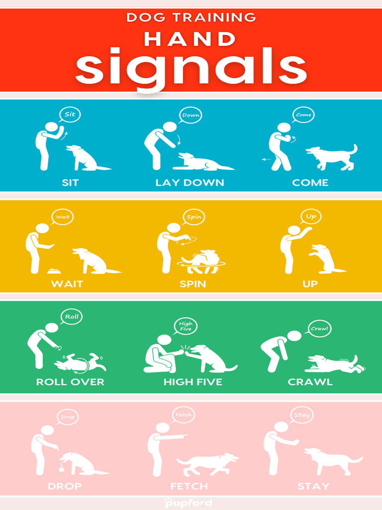 1638556733506-Training Hand Signals Infographic | PDF