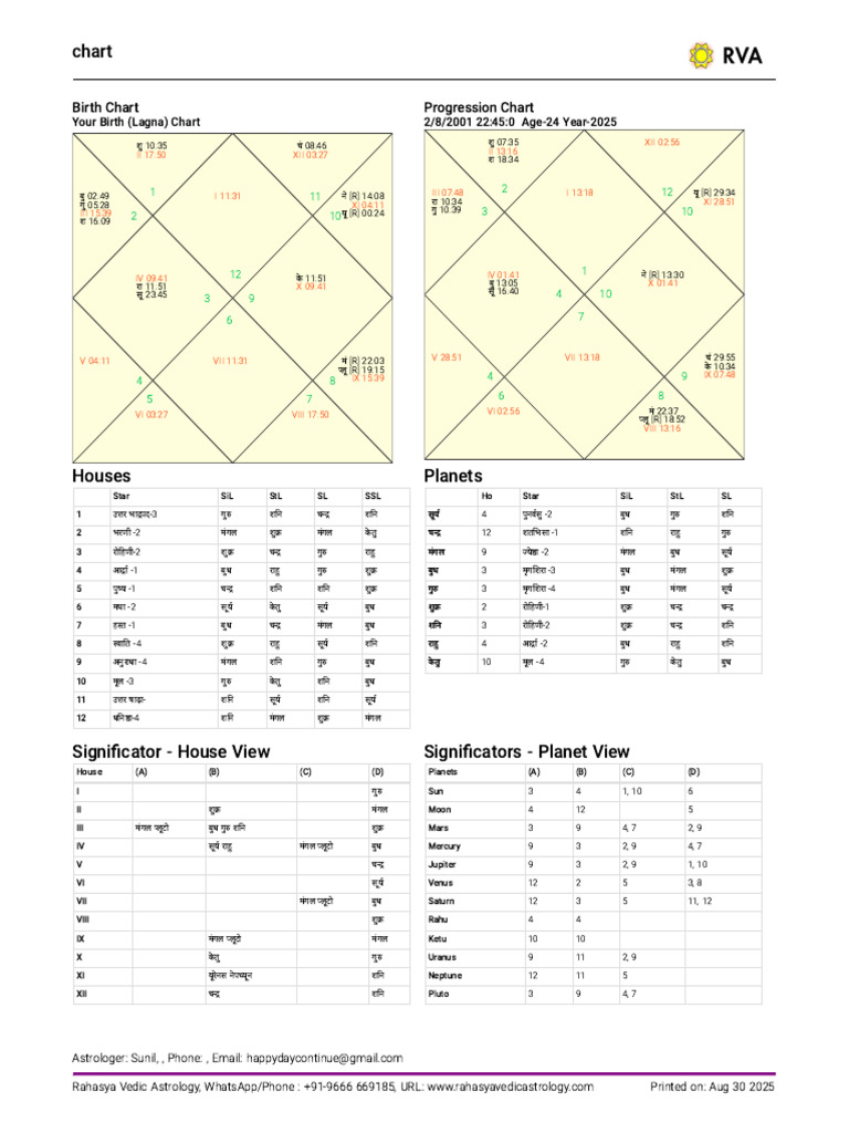 Chart - RVA Software | PDF