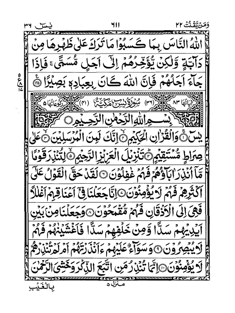 Surah Yaseen | PDF