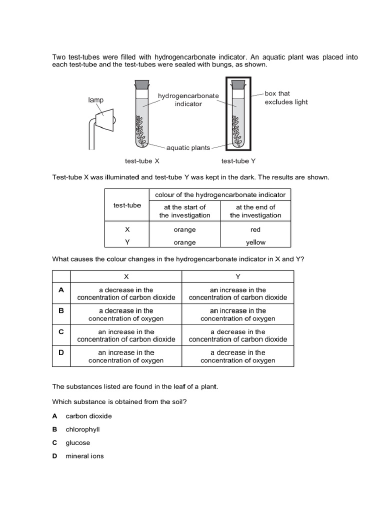 Unit6 | PDF