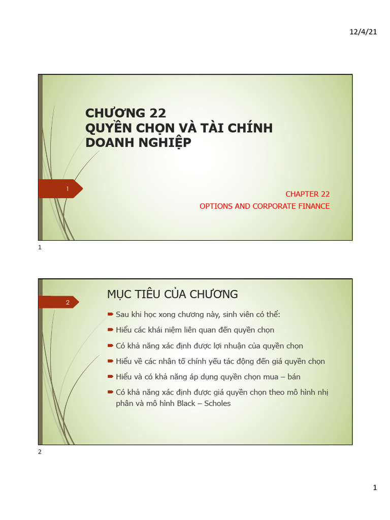 Chapter22 Option CorporateFinance | PDF