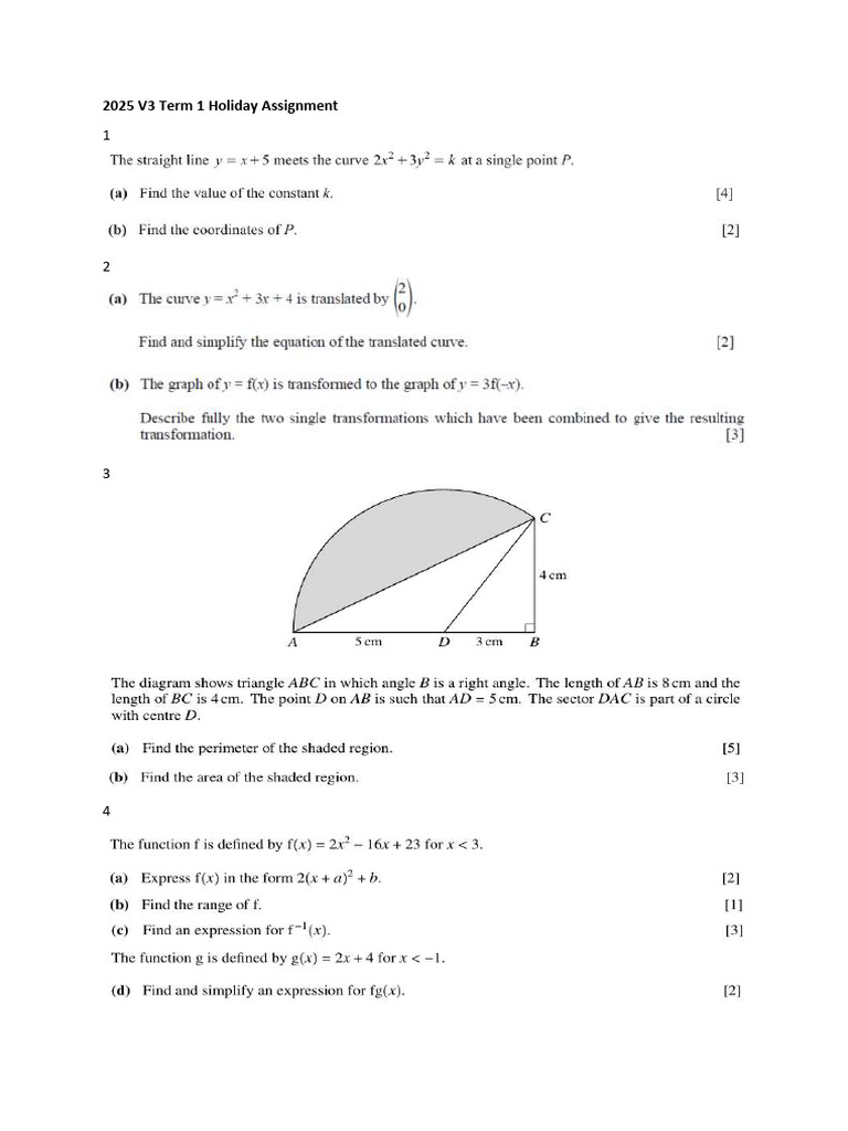 2025 V3 Term 1 Paper 1 Holiday Assignment | PDF