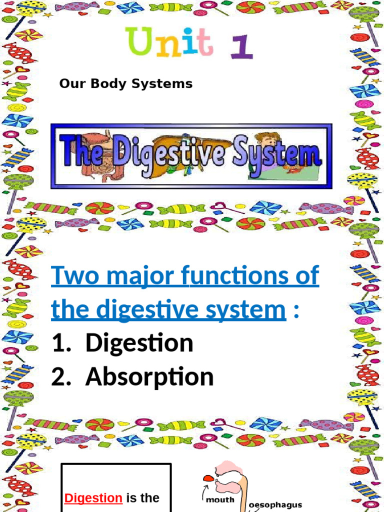 Unit 1 - Digestive System - P4 | PDF | Digestion | Gastrointestinal Tract
