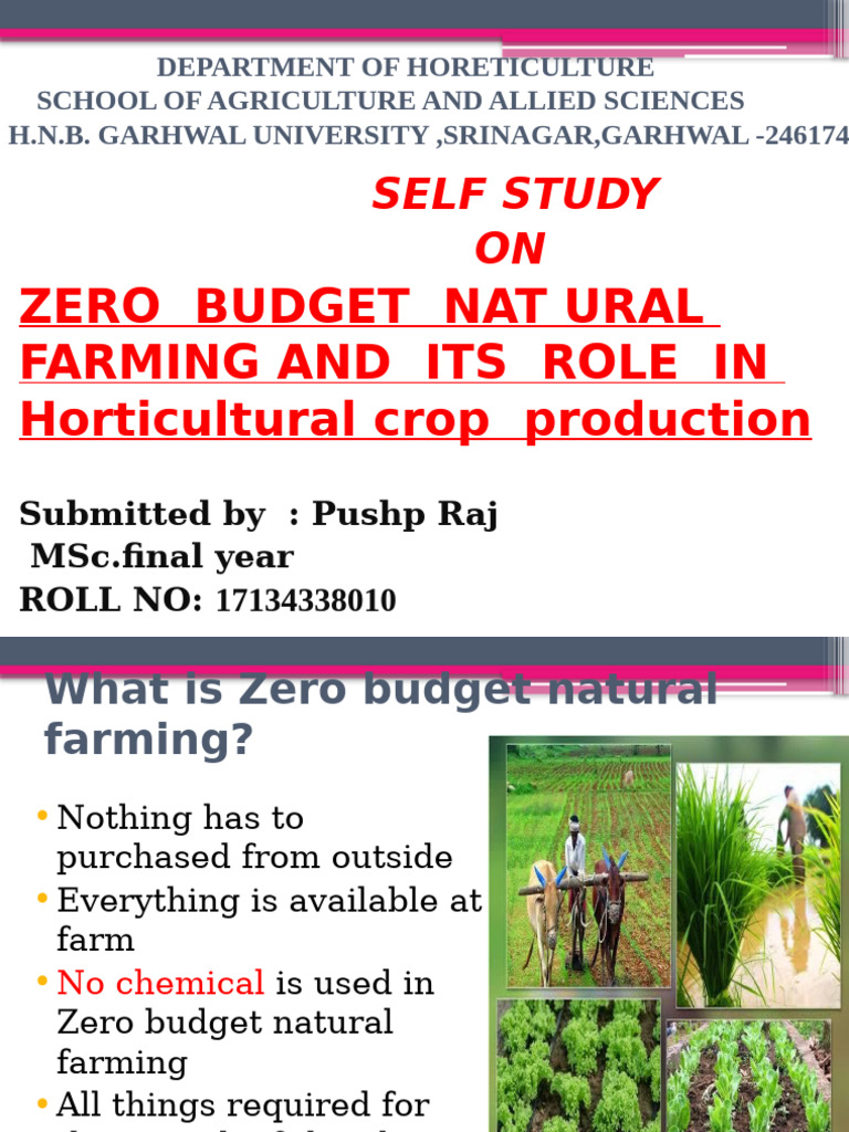 Zero Budget Natural Farming and Its Role in Horticultural Production ...