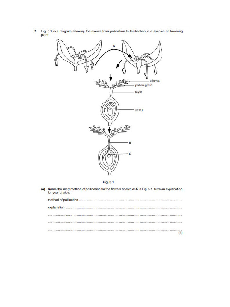 Chapter 16 Test | PDF