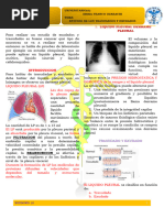 Exudado vs Trasudado: Características y Diagnóstico | PDF