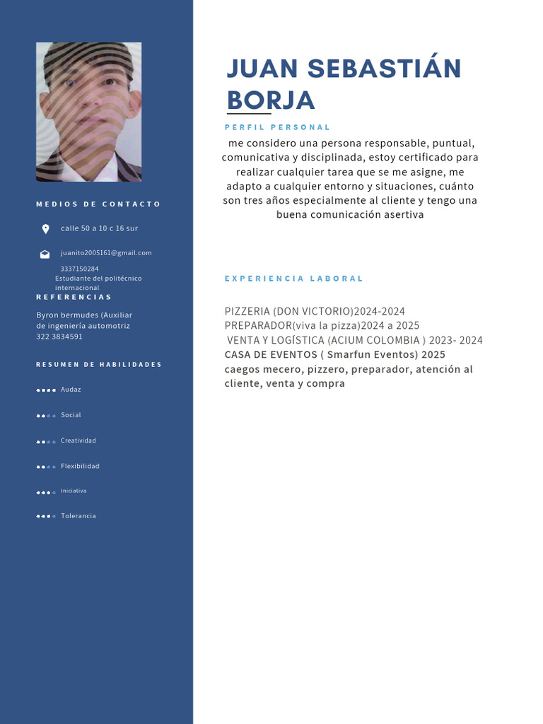 Azul Marino y Negro Profesional Currículum.pdf | PDF
