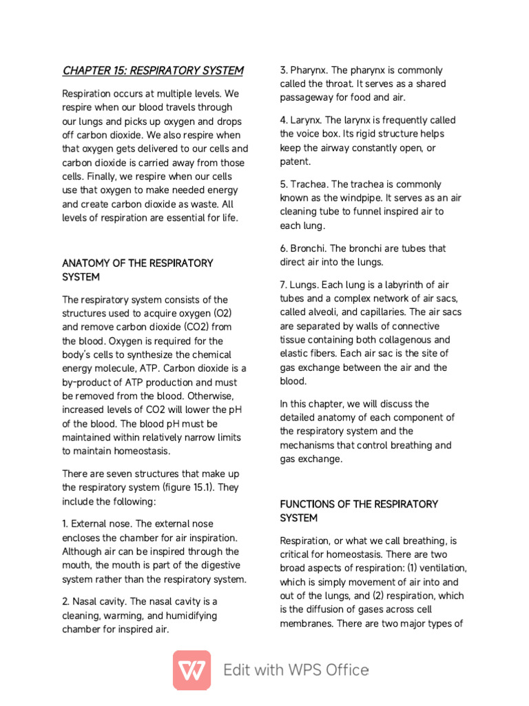 Anatomy and Functions of the Respiratory System | PDF | Lung ...