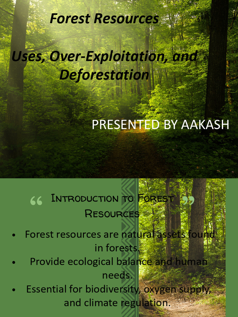 Forest Resources Presentation | PDF