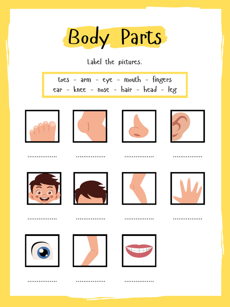 Body Parts Vocabulary Worksheet in Yellow White Cute Style | PDF