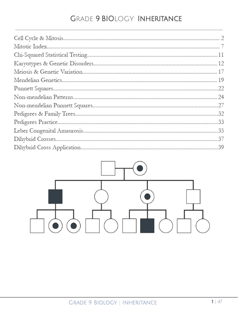 (G9B) Unit 2 Inheritance Workbook | PDF | Genotype | Dominance (Genetics)