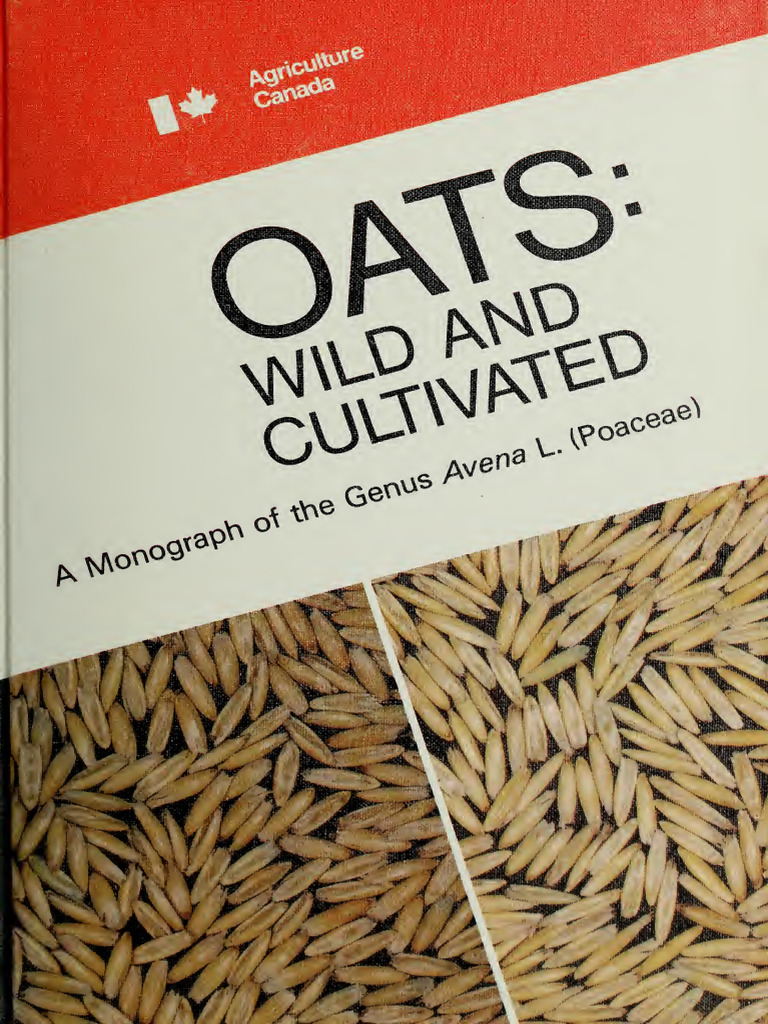 Oats: Avena Genus Monograph Overview | PDF | Oat | Cereals