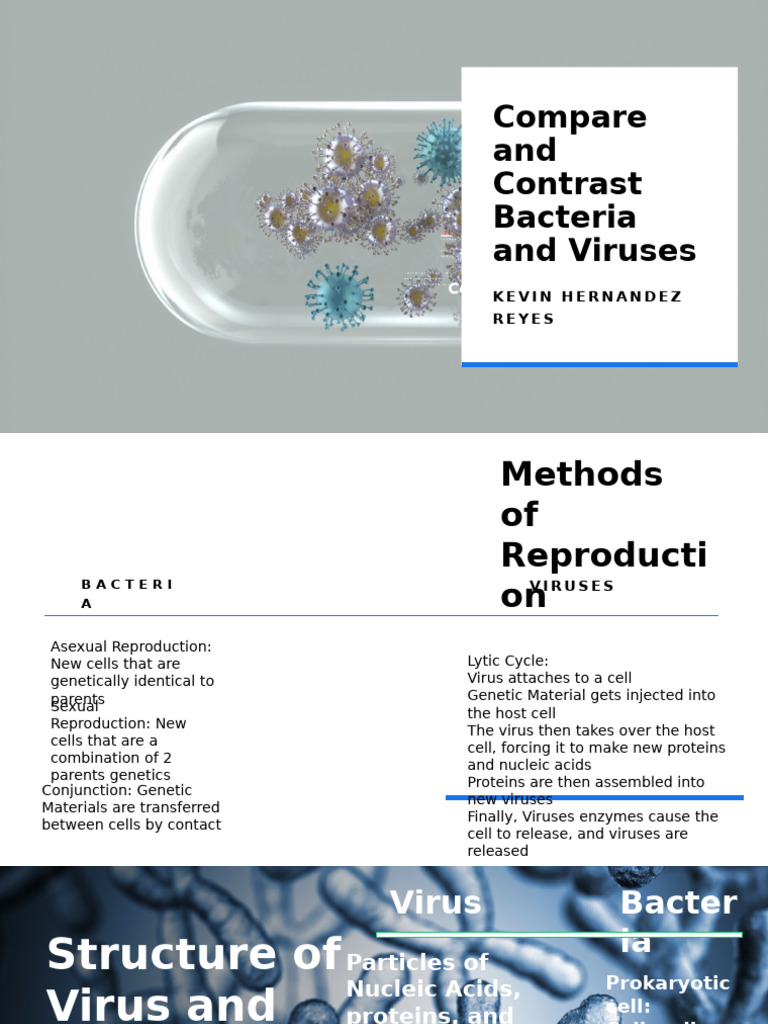 Bacteria vs. Viruses: Key Differences | PDF | Cell (Biology) | Virus