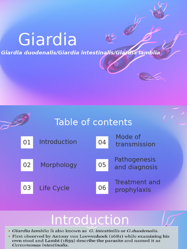 Parasite Diseases Giardiasis | PDF | Microbiology | Immunology
