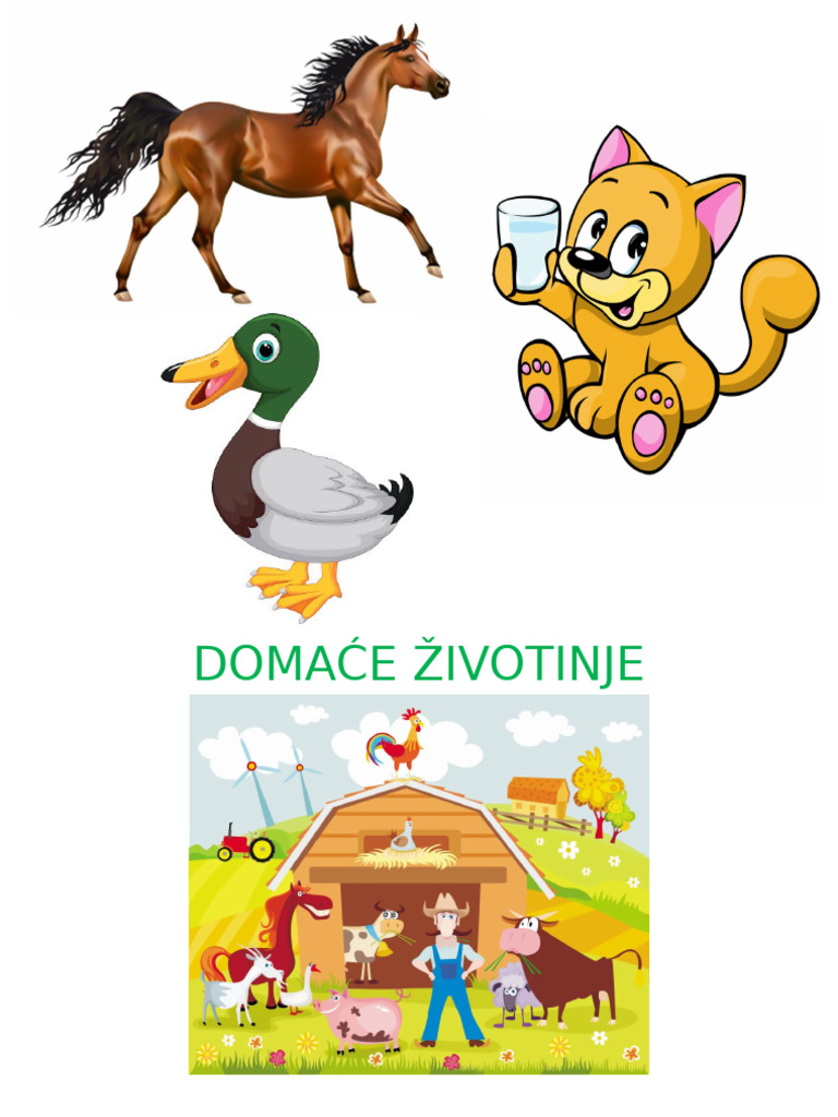 1 Domace zivotinje | PDF