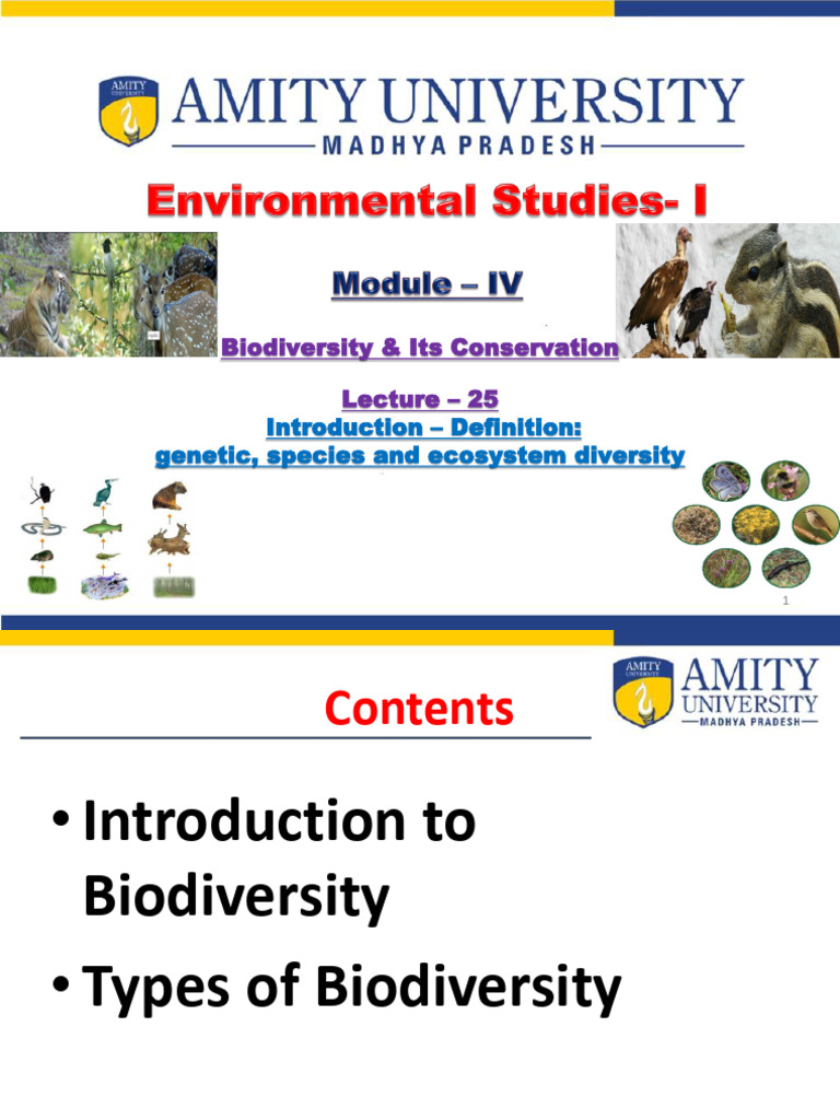 Understanding Biodiversity Types | PDF