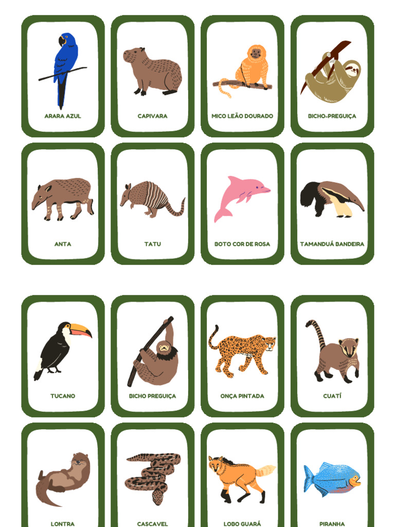 Flashcards Animais Brasileiros Ilustrado Verde | PDF