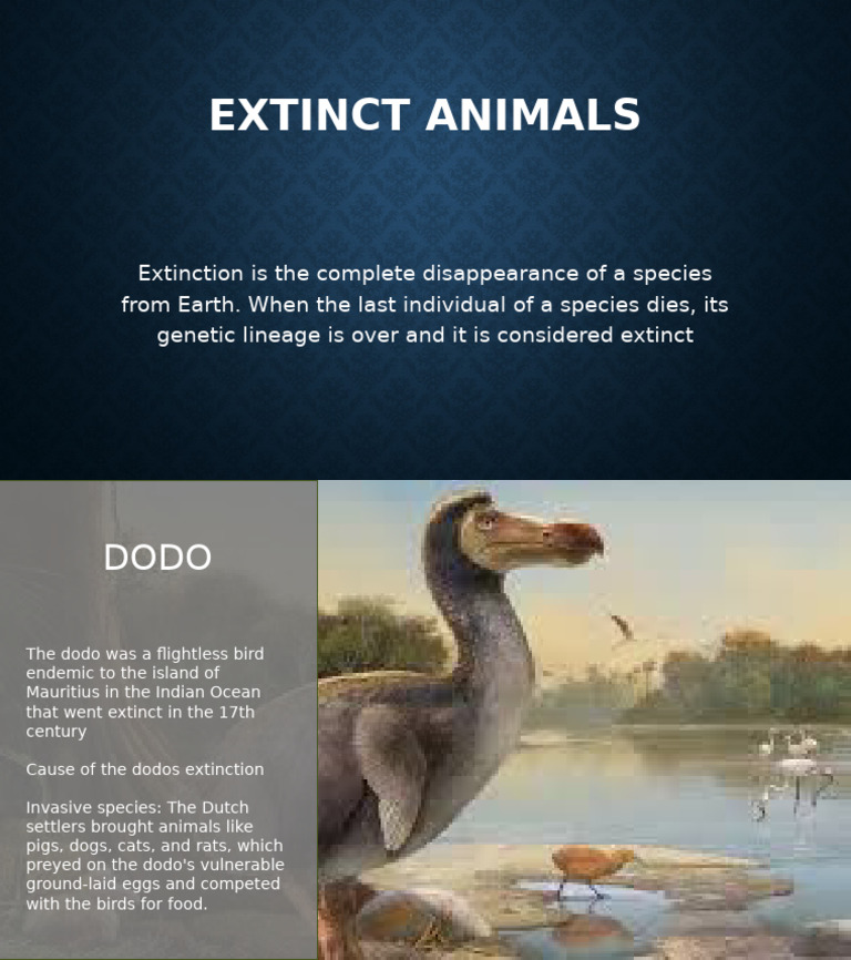 Extinct Animals | PDF