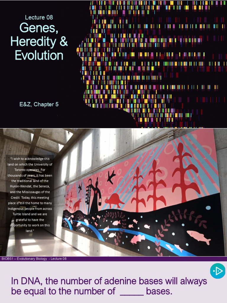 Lec08+ +Genes+Heredity+and+Evolution | PDF | Dominance (Genetics) | Genetics