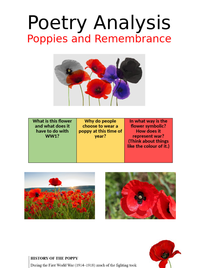 Poppy Poem Analysis for WW1 | PDF | Poetry