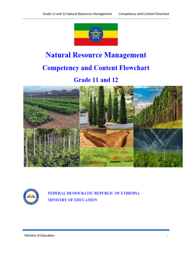 NRM Grade 11 and 12 Flowchart - Finall-April 11-25 | PDF | Vocational ...