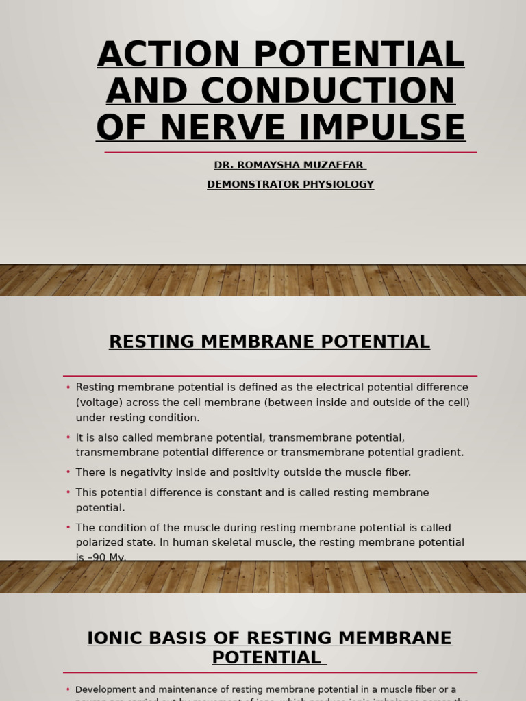Nerve Impulse: Action Potential Explained | PDF | Action Potential ...