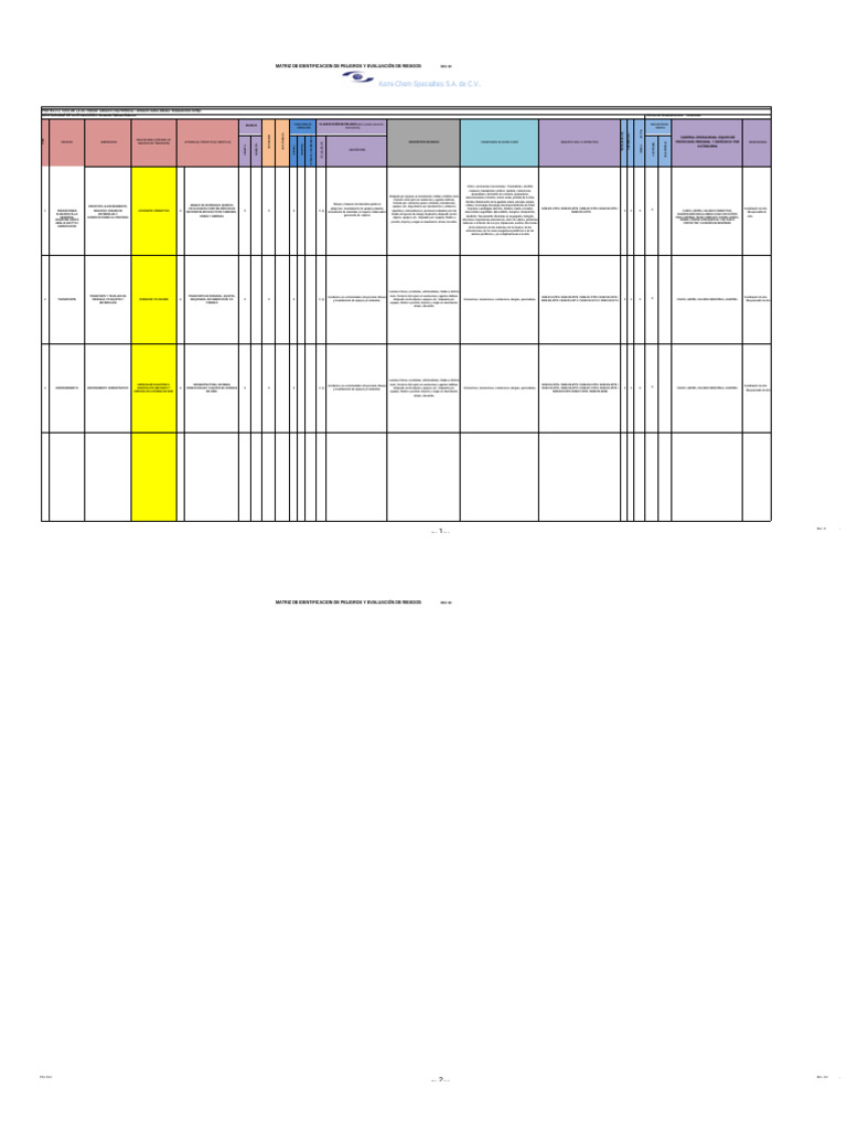 Matriz de Riesgos y Epp (2) | PDF | Especialidades Medicas | Enfermedades y trastornos