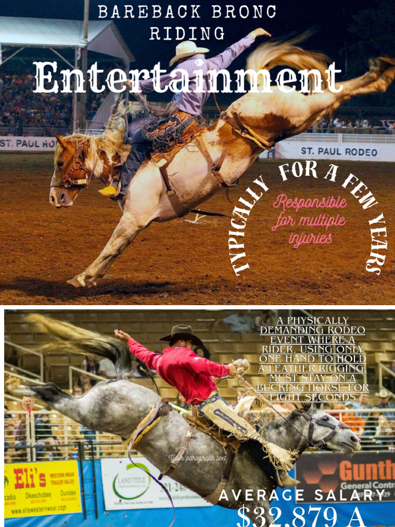 Equine Science Project | PDF