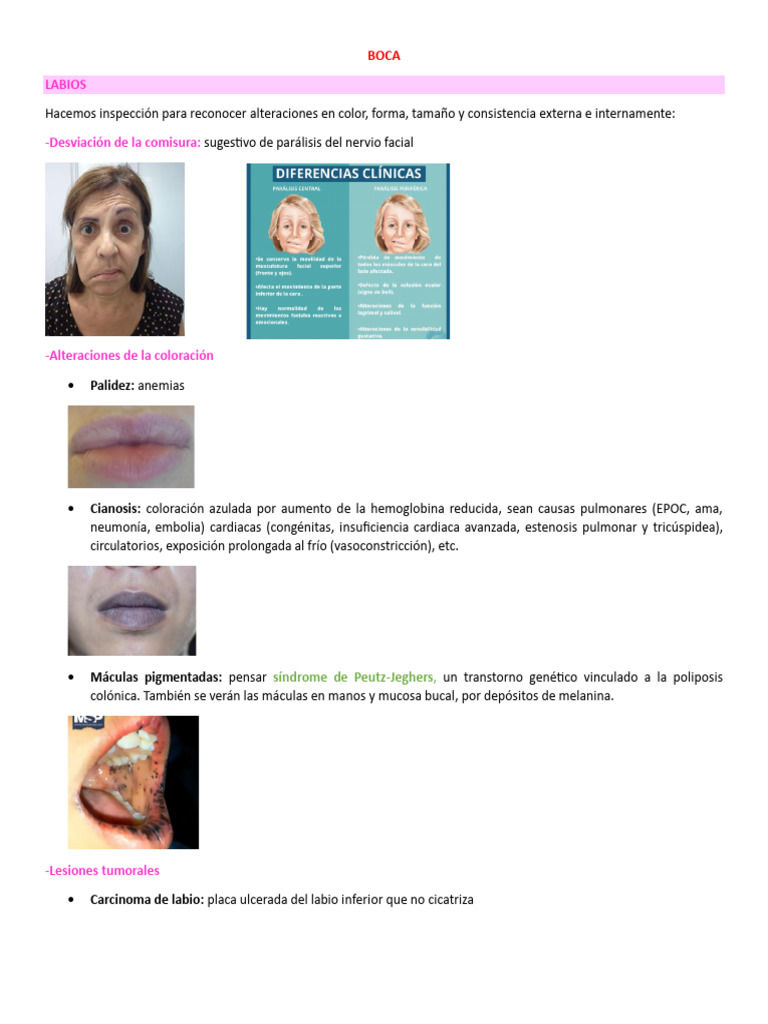 BOCA | PDF | Especialidades Medicas | Enfermedades y trastornos